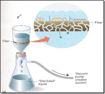 Microbiology Online: Filtration